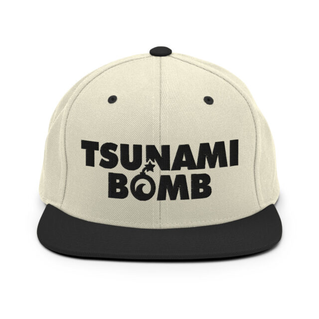 TB Logo - Snapback - Epic Merch Store